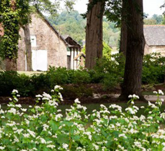 Cité Gourmande | Groupe LE DUFF