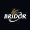 Bridor | Groupe LE DUFF
